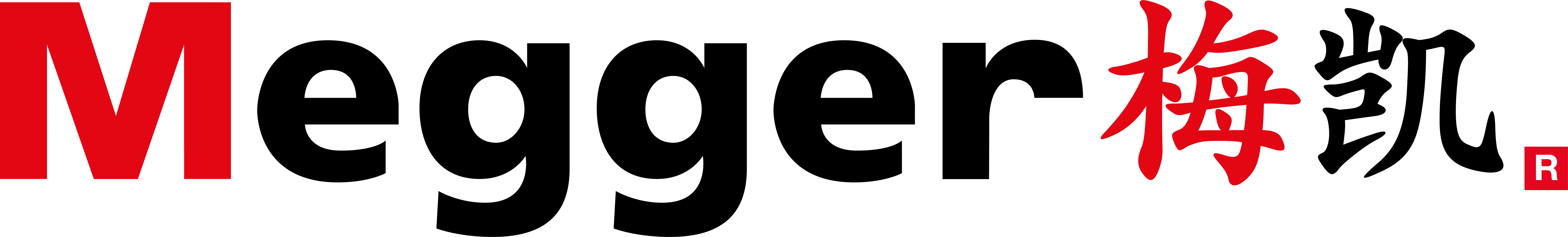 动力总成电气化与创新国际峰会_ECV International